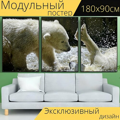 Модульный постер "Полярные медведи, дети полярных медведей, полярный" 180 x 90 см. для интерьера