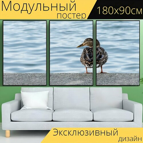 Модульный постер "Птица, водное пространство, природа" 180 x 90 см. для интерьера