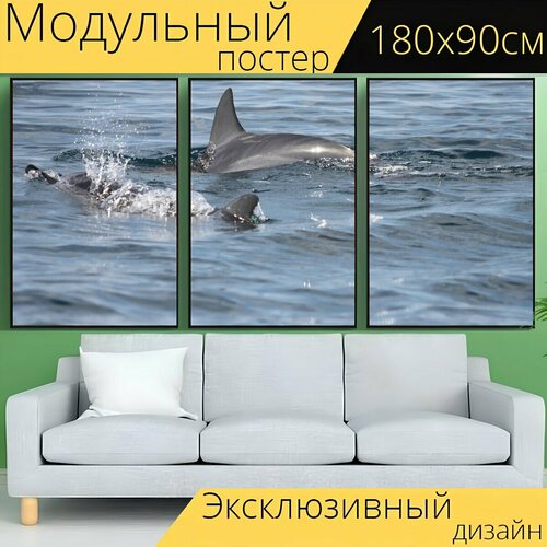 Модульный постер "Спинной плавник, дельфины, морские млекопитающие" 180 x 90 см. для интерьера