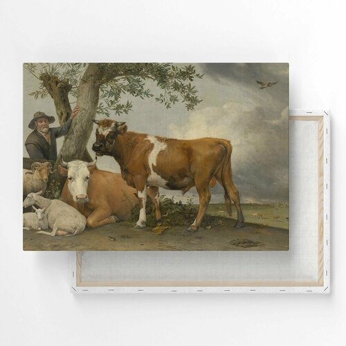 Картина на холсте, репродукция / Паулюс Поттер - The Bull / Размер 30 x 40 см