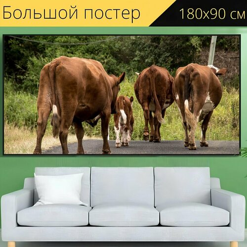 Большой постер "Коровы, крупный рогатый скот, домашний скот" 180 x 90 см. для интерьера