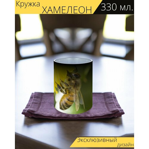 Кружка хамелеон с принтом "Пчела, насекомое, цветок" 330 мл.