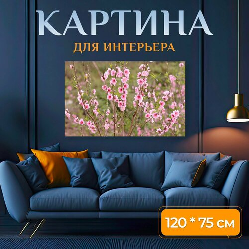 Картина на холсте "Персик, персиковый цветок, цветок" на подрамнике 120х75 см. для интерьера