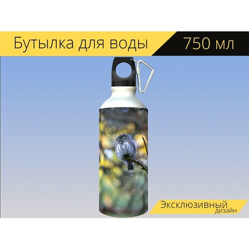 Бутылка фляга для воды "Воробьиного passerinum, евразийская карликовая сова, сова" 750 мл. с карабином и принтом