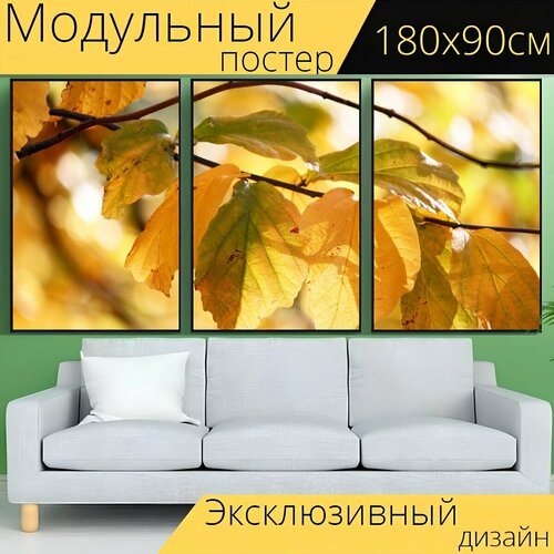 Модульный постер "Осенние листья, падение, листья" 180 x 90 см. для интерьера