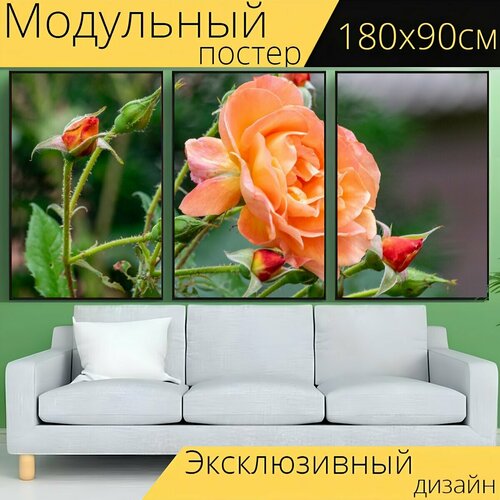 Модульный постер "Роуз, цветок, розы" 180 x 90 см. для интерьера
