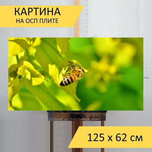 Картина на ОСП 125х62 см. "Пчела, цвести, насекомое" горизонтальная, для интерьера, с креплениями