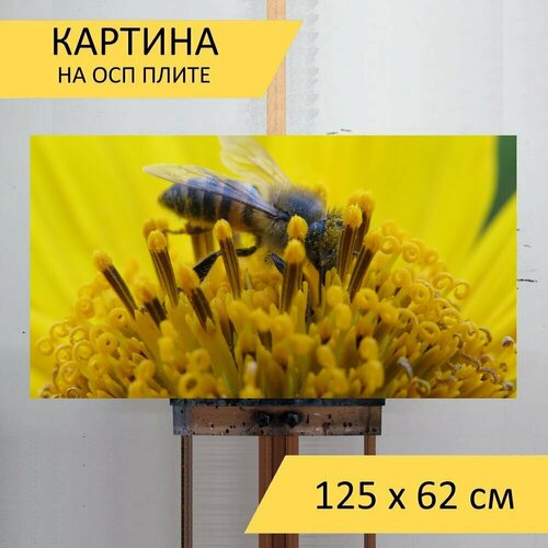 Картина на ОСП 125х62 см. "Пчела, макрос, цветок" горизонтальная, для интерьера, с креплениями