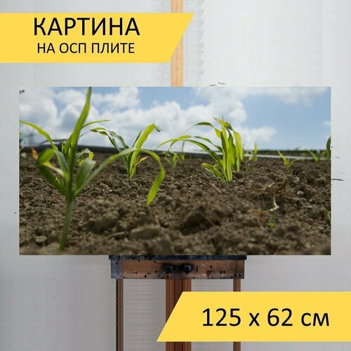 Картина на ОСП 125х62 см. "Кукуруза, поле, облака" горизонтальная, для интерьера, с креплениями