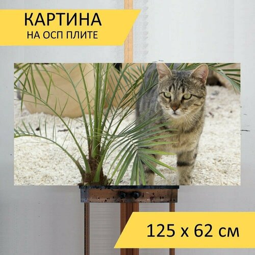 Картина на ОСП 125х62 см. "Кошка, домашний питомец, животное" горизонтальная, для интерьера, с креплениями