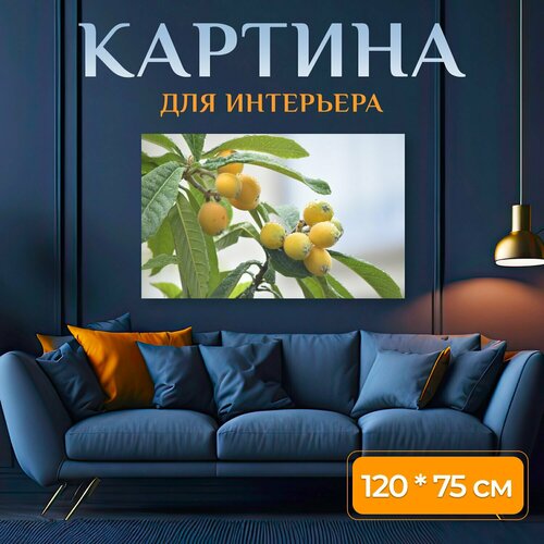 Картина на холсте "Мушмула, фрукты, завод" на подрамнике 120х75 см. для интерьера