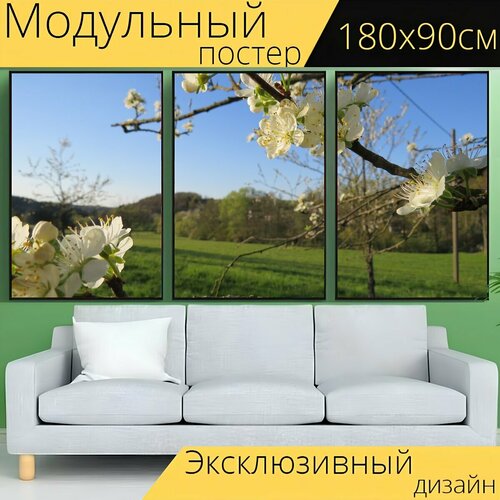 Модульный постер "Яблоневый цвет, весна, природа" 180 x 90 см. для интерьера