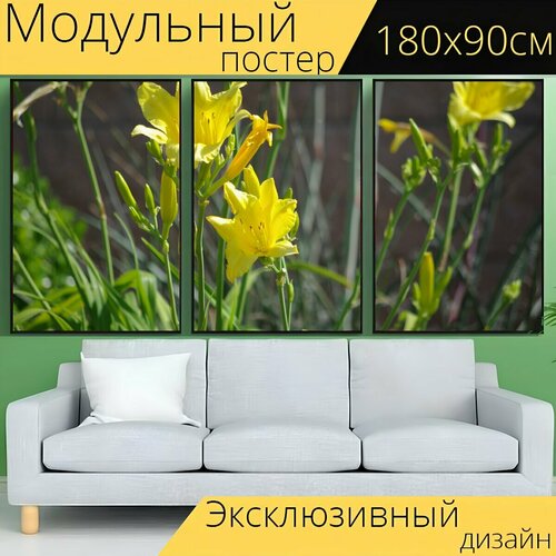 Модульный постер "Цветы, желтый, листья" 180 x 90 см. для интерьера