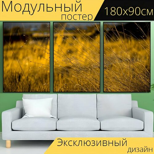 Модульный постер "Трава, желтый, летом" 180 x 90 см. для интерьера