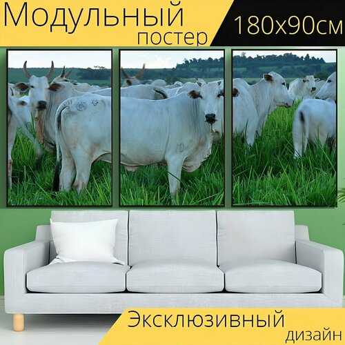 Модульный постер "Коровы, стадо, ферма" 180 x 90 см. для интерьера
