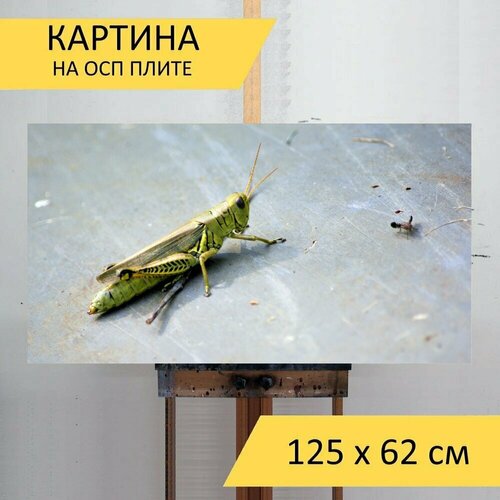 Картина на ОСП 125х62 см. "Кузнечик, погоня, насекомое" горизонтальная, для интерьера, с креплениями