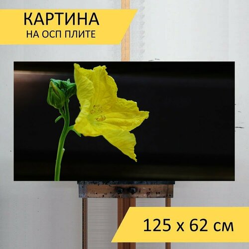 Картина на ОСП 125х62 см. "Тыква цветок, цветок, желтый" горизонтальная, для интерьера, с креплениями