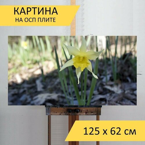 Картина на ОСП 125х62 см. "Нарцисс, цветок, макрос" горизонтальная, для интерьера, с креплениями