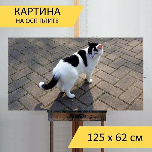 Картина на ОСП 125х62 см. "Домашнее животное, кот, женский" горизонтальная, для интерьера, с креплениями
