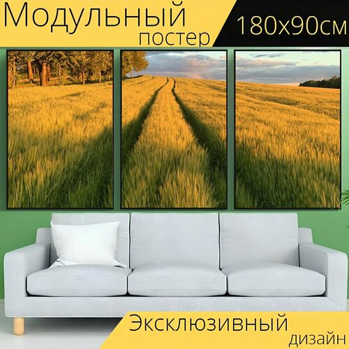 Модульный постер "Сельское хозяйство, заход солнца, поле" 180 x 90 см. для интерьера