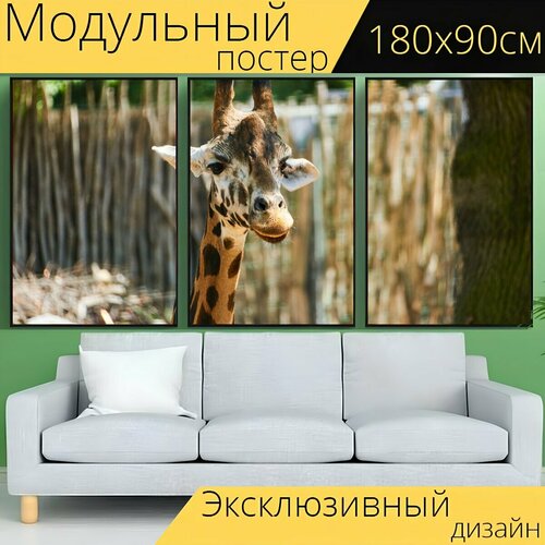 Модульный постер "Жирафа, африке, животное" 180 x 90 см. для интерьера