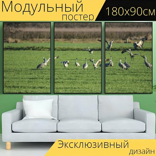 Модульный постер "Краны, птицы, животное" 180 x 90 см. для интерьера