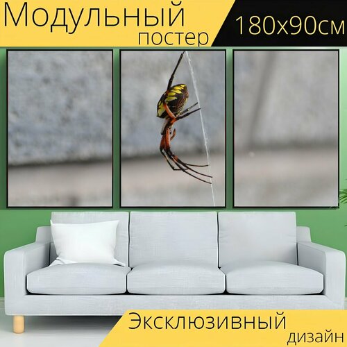 Модульный постер "Паук, жук, насекомое" 180 x 90 см. для интерьера
