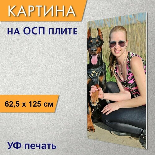 Вертикальная картина на ОСП "Доберман, собака, блондинка" 62x125 см. для интерьериа