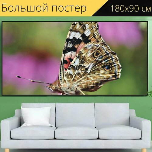Большой постер "Бабочка, бабочки, летающее насекомое" 180 x 90 см. для интерьера