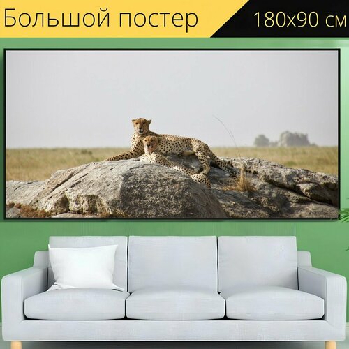 Большой постер "Гепарды, животные, сафари" 180 x 90 см. для интерьера