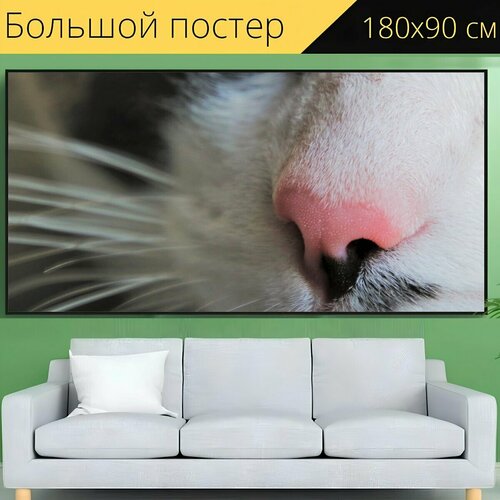 Большой постер "Кошка, усы, нос" 180 x 90 см. для интерьера