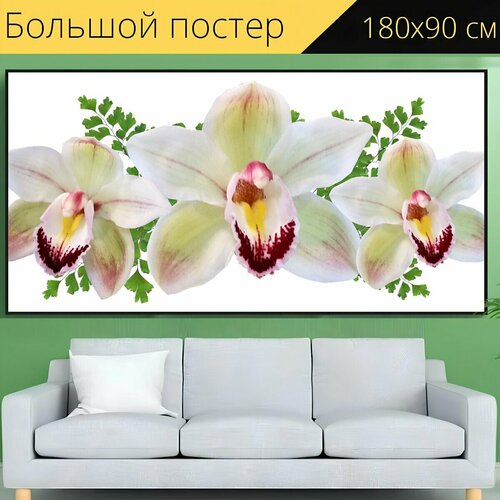 Большой постер "Цветы, белый, орхидеи" 180 x 90 см. для интерьера