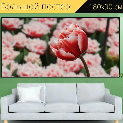 Большой постер "Тюльпан, цветок, весна" 180 x 90 см. для интерьера