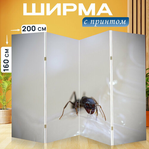 Ширма перегородка с принтом "Муравей, насекомые, макрос" на холсте - 200x160 см. для зонирования, раскладная