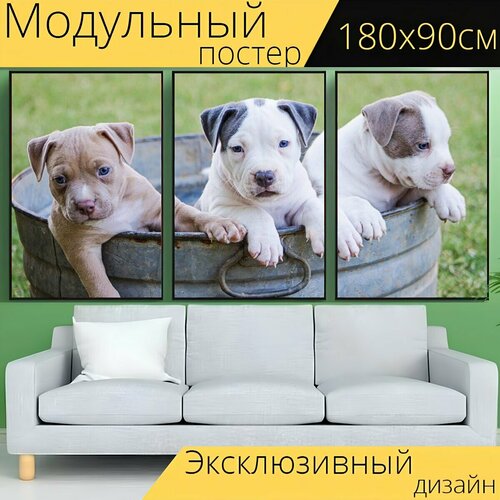 Модульный постер "Собака, собачий, домашний питомец" 180 x 90 см. для интерьера