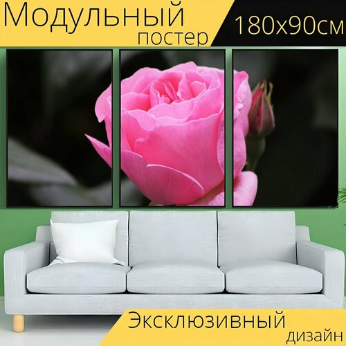 Модульный постер "Розовая роза, цветущий, романтичный" 180 x 90 см. для интерьера
