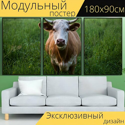 Модульный постер "Корова, рога, крупный рогатый скот" 180 x 90 см. для интерьера