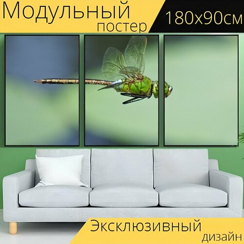 Модульный постер "Япония, природные, насекомое" 180 x 90 см. для интерьера