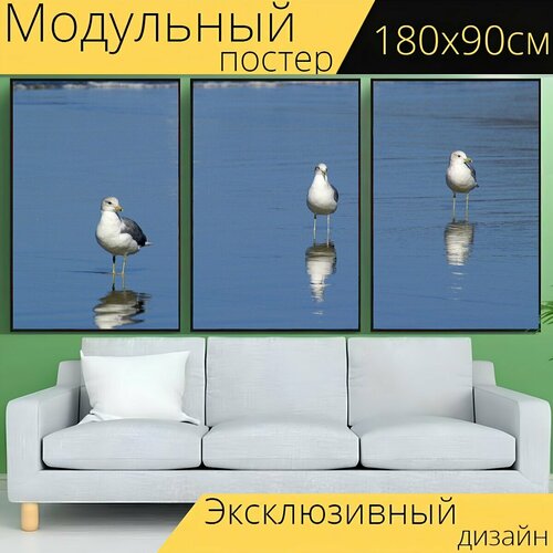 Модульный постер "Чайки, пляж, вода" 180 x 90 см. для интерьера