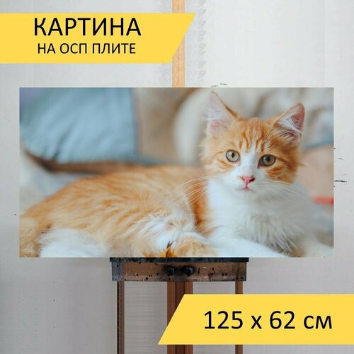 Картина на ОСП 125х62 см. "Кошка, котенок, оранжевый кот" горизонтальная, для интерьера, с креплениями