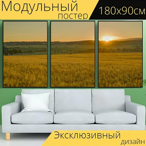 Модульный постер "Восход солнца, поле, кукуруза" 180 x 90 см. для интерьера