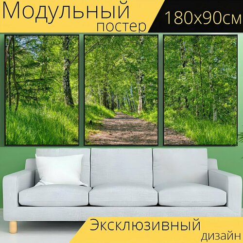 Модульный постер "Дорожка, лес, лесная тропа" 180 x 90 см. для интерьера
