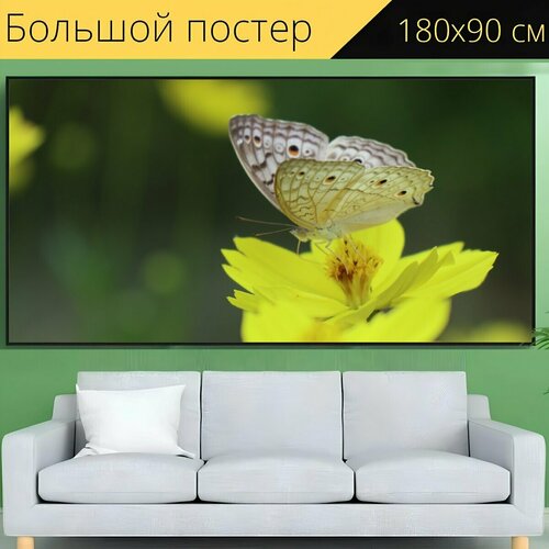 Большой постер "Хороший зеленый пятно, подставка бабочка на желтый цветок, подача" 180 x 90 см. для интерьера