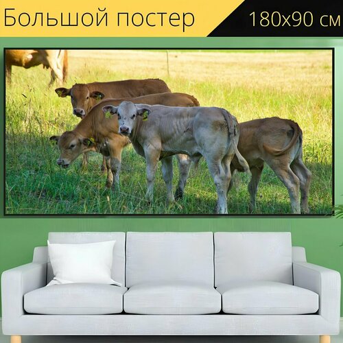 Большой постер "Коровы, животные, фермерский двор" 180 x 90 см. для интерьера