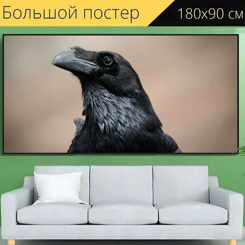 Большой постер "Чернить, птица, ворон" 180 x 90 см. для интерьера