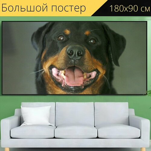 Большой постер "Собака, псовые, млекопитающее" 180 x 90 см. для интерьера