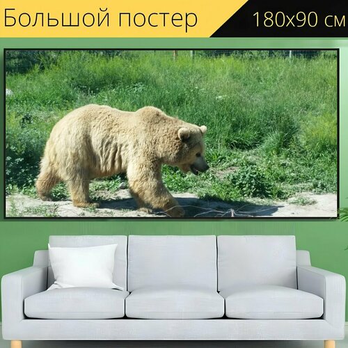 Большой постер "Медведь гризли, нести, плотоядное животное" 180 x 90 см. для интерьера