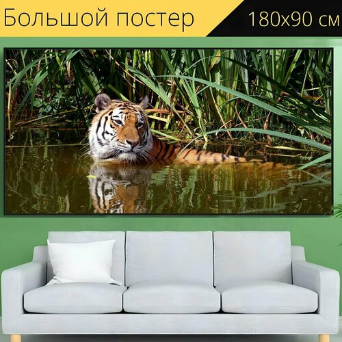 Большой постер "Тигр, большой кот, зоопарк" 180 x 90 см. для интерьера