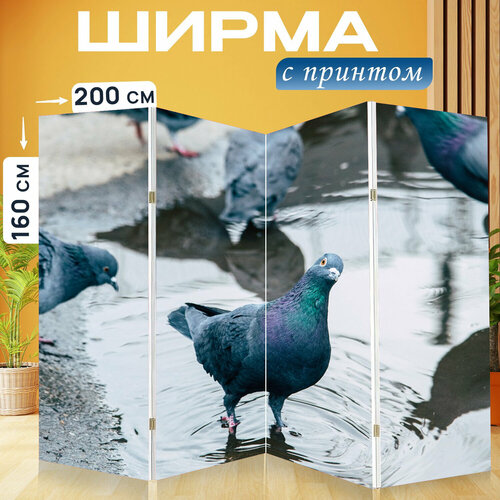 Ширма перегородка с принтом "Голуби, птицы, группа" на холсте - 200x160 см. для зонирования, раскладная