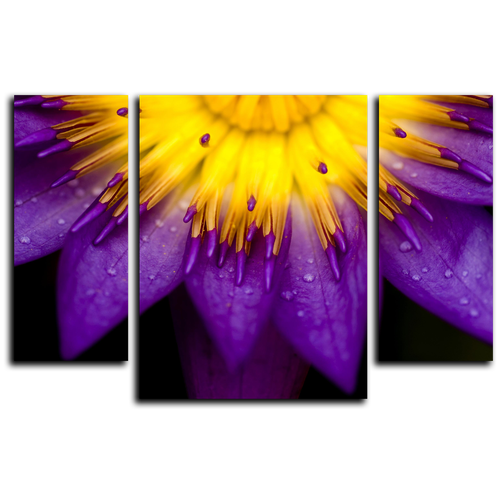 Модульная картина "Желто-фиолетовый цветок"